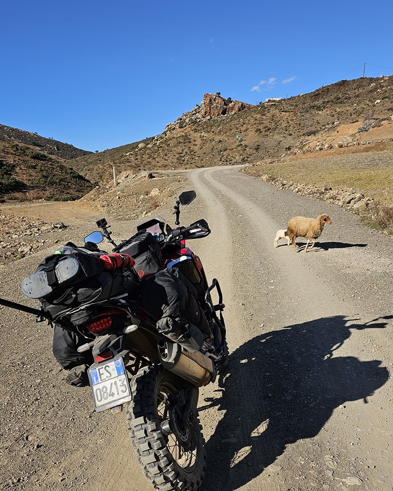 Recensione: Continental TKC 70 dopo 20.500 km su Honda ATAS 1000 (Capo Nord, Eroico e Moto ...